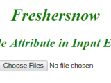 Html Multiple Attribute
