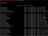 Exploiting A Code Execution Vulnerability Ethical Hacking