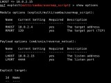 Exploiting A Code Execution Vulnerability Ethical Hacking