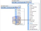 Faststone Capture A Simple Step By Step Guide For Beginners