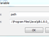 Java Environment Setup Windows 10 8 7 Using Jdk 8