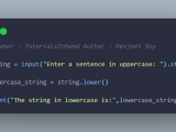 Program To Transform A String From Uppercase To Lowercase In Python