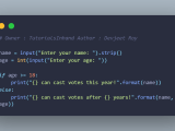 Voting Eligibility Program In Python