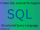 Learn Best Sql Tutorial For Beginners In 2023 Tutorialwale
