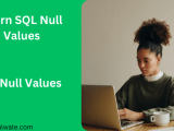 Learn Sql Null Values Tutorialwale