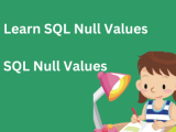 Learn Sql Null Values Tutorialwale