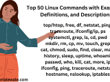 Top 50 Linux Commands With Examples Tutorialwale
