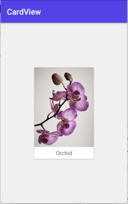 Android CardView Using Kotlin With Example - Tutorialwing