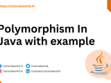 Polymorphism In Java With Example Tutorial World