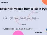 4 Simple Ways To Remove Nan From List In Python Tutor Python