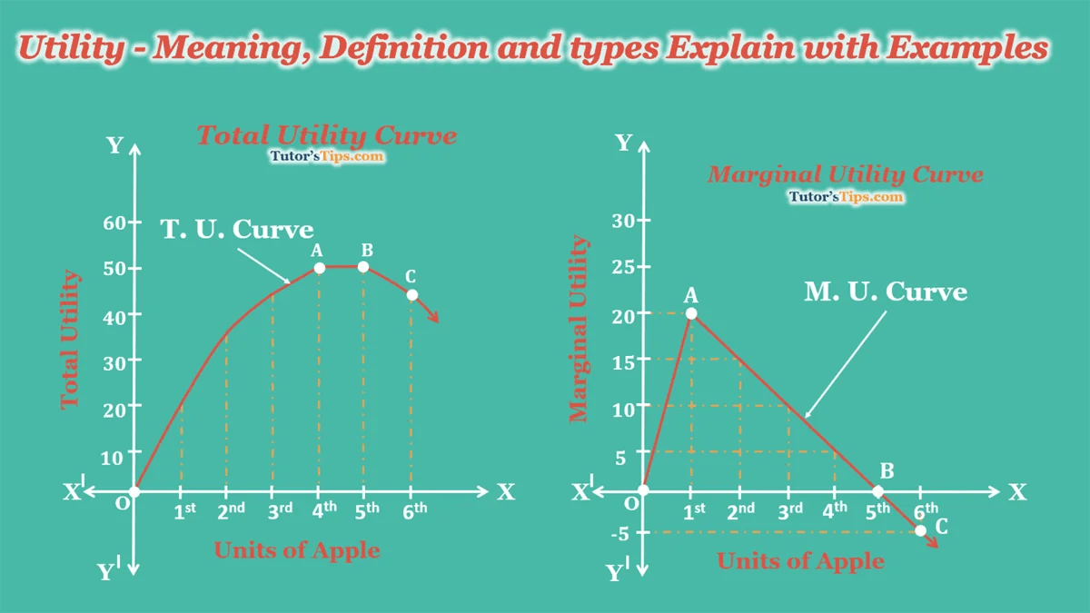Utility - Meaning, Definition and its types – Tutor's Tips