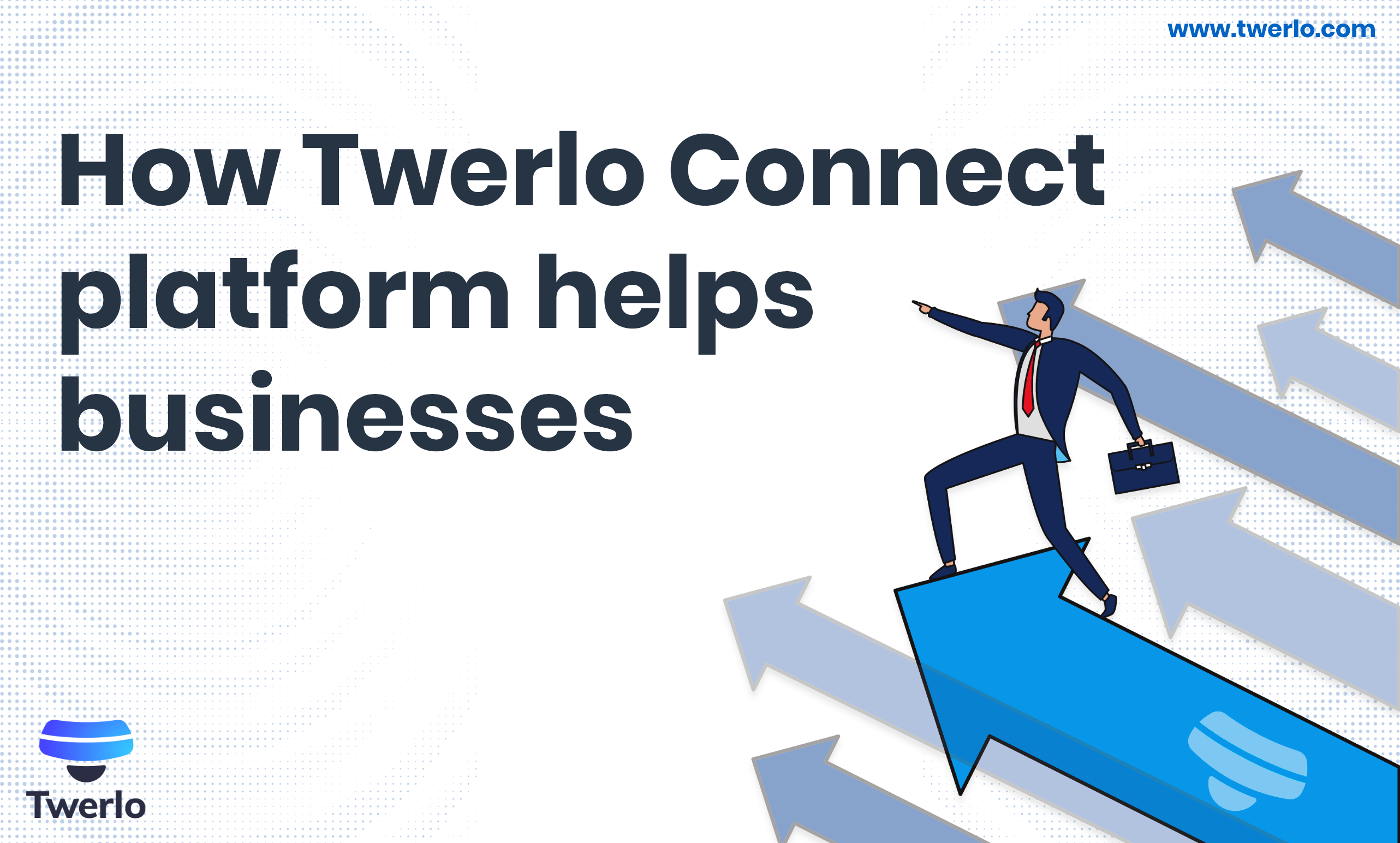 How Twerlo Connect Platform Helps Businesses - Litho