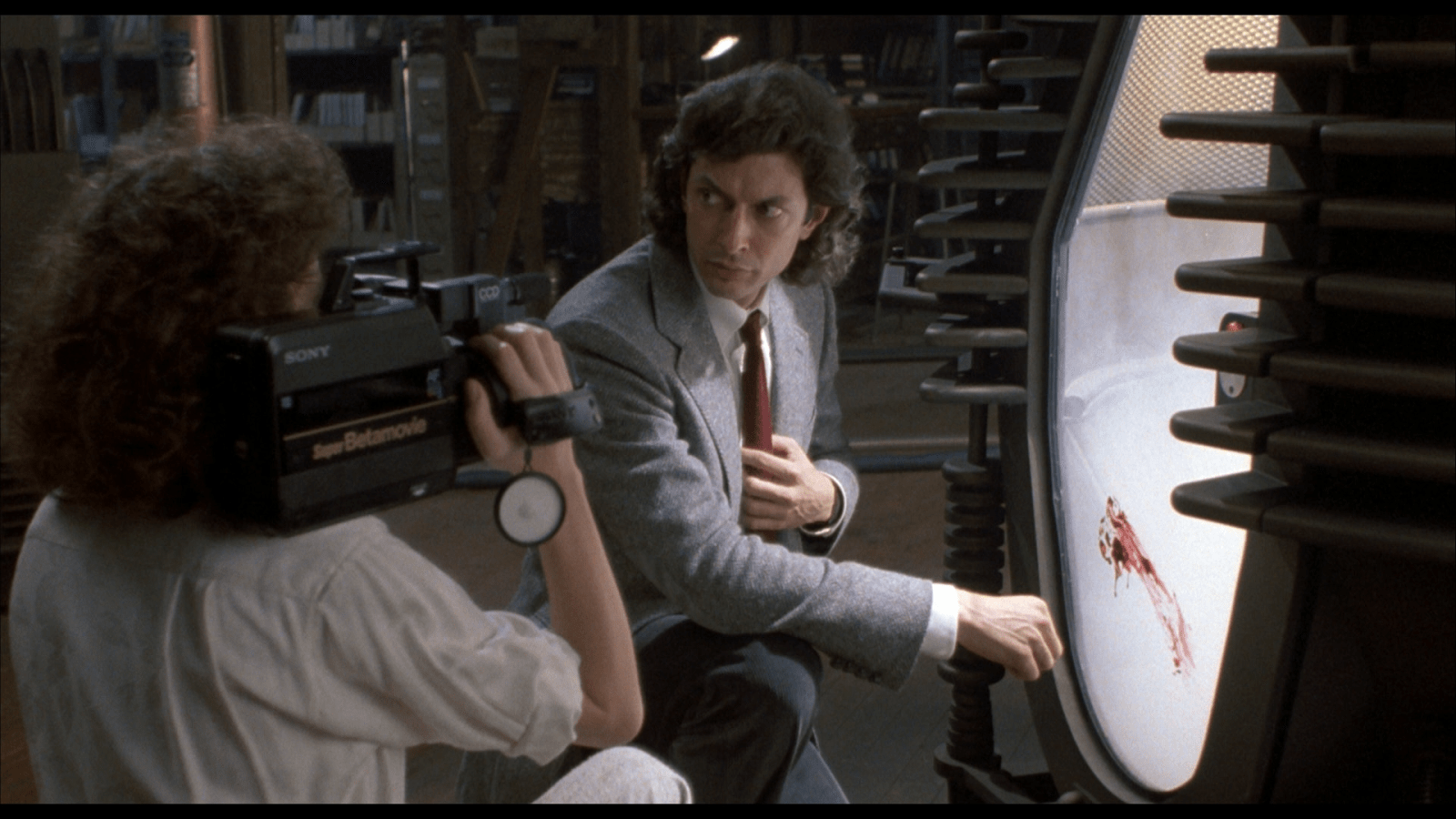 Throwback Thursday: The Fly as Metaphor for Lots of Things | Twin ...