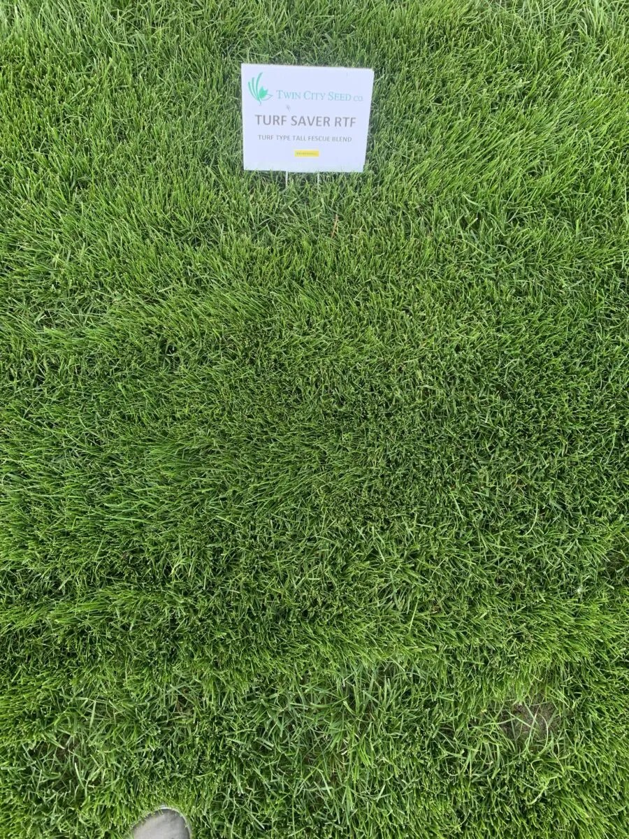 Turf Saver RTF Turf-Type Tall Fescue Blend - Twin City Seed Company