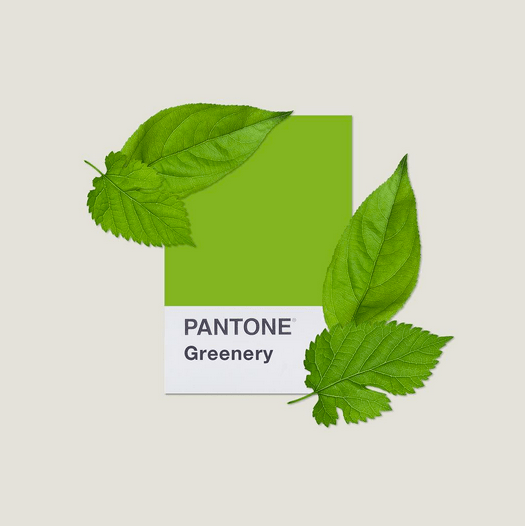 Greenery Pantone Color of the Year 2017 makeup