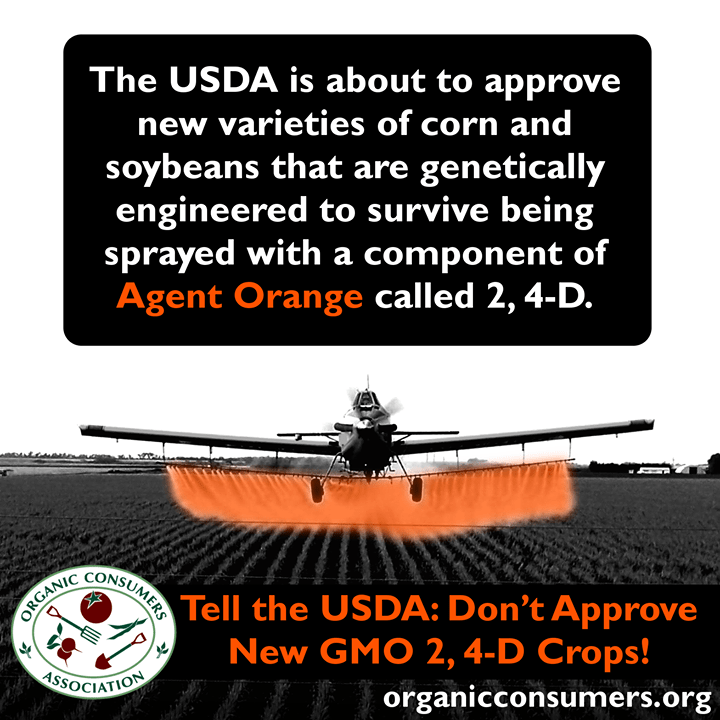 AGENT ORANGE CORN | A holistic approach to pediatric care in Frisco and ...