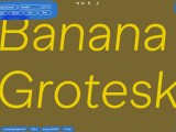 Monkey Type Typecache Com