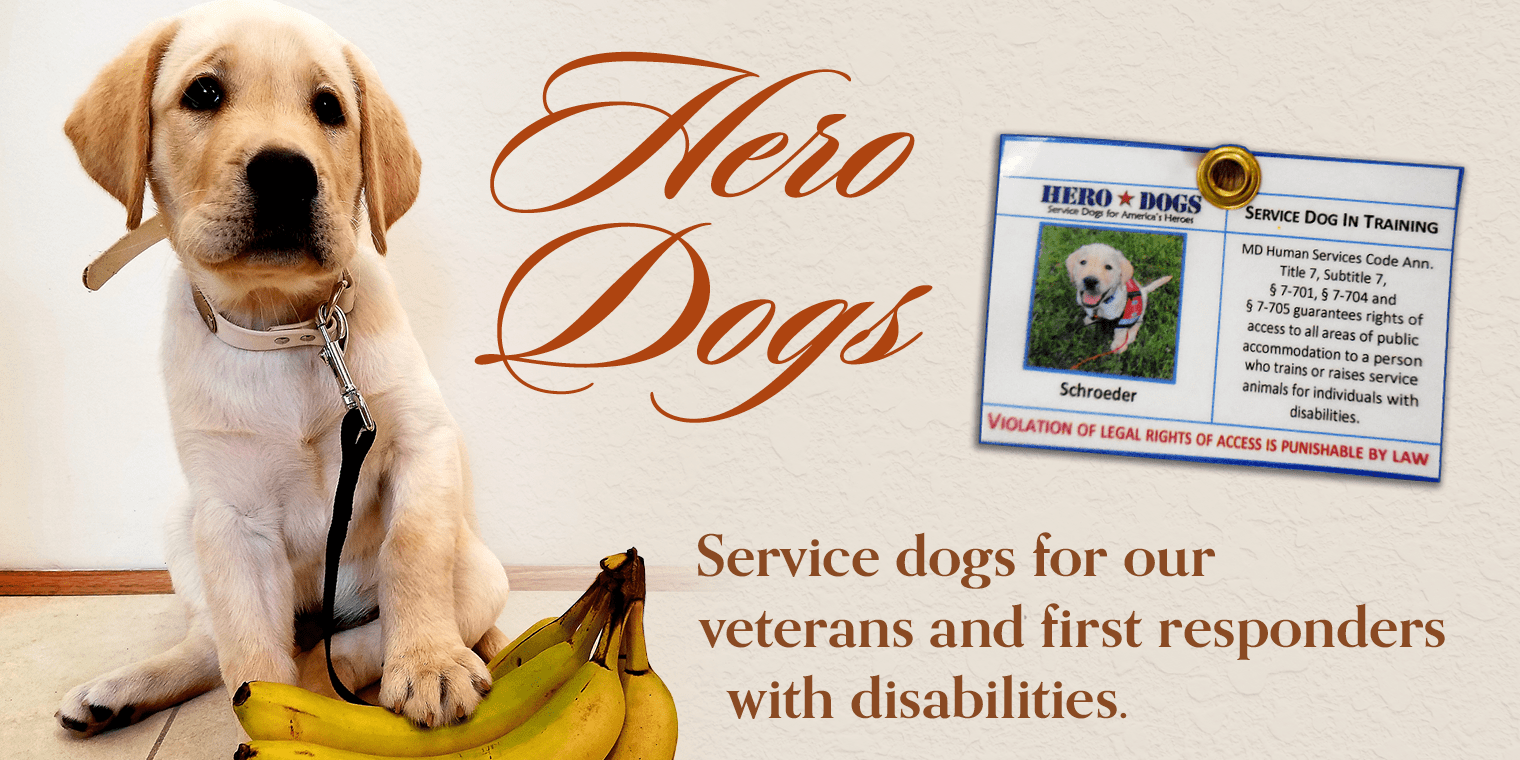 Hero Dogs - TysonsToday