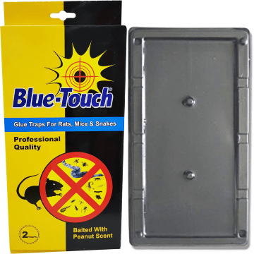 BLUE TOUCH JUMBO GLUE TRAPS, 2 TRAPS, PEANUT SCENT, 111101820 - Gulf ...
