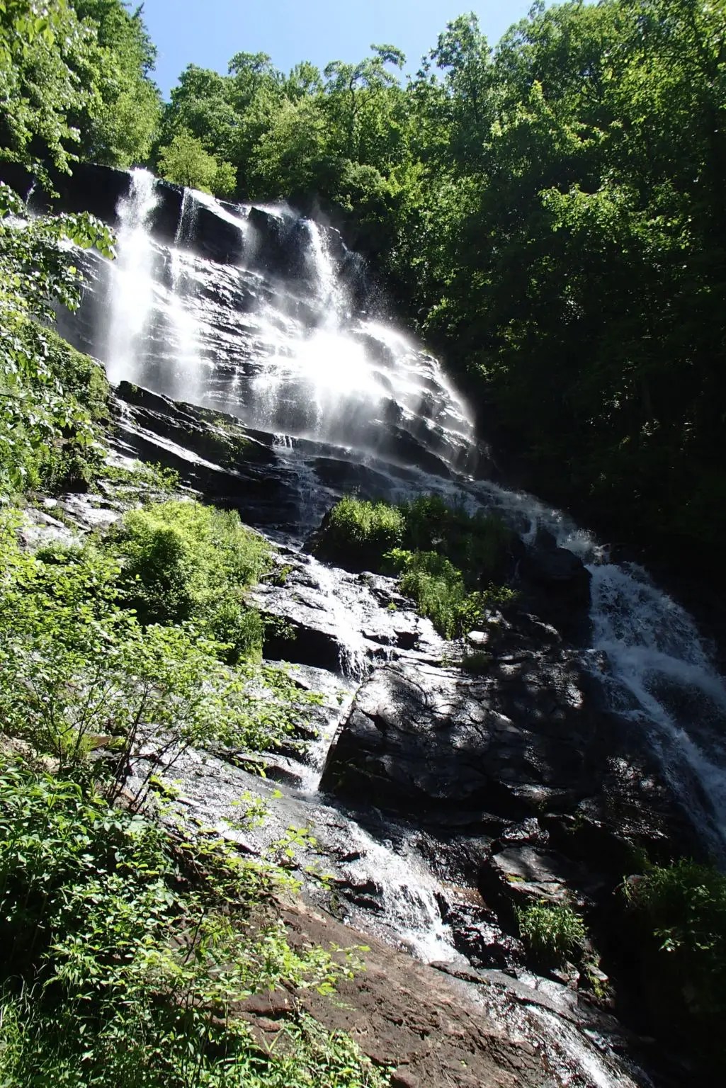 Trip Report: Appalachian Trail Approach Trail (Springer Mountain) May ...