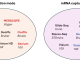 Sequencing Based