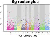 Make A Manhattan Plot Create Manhattanplot Boutroslab Plotting General
