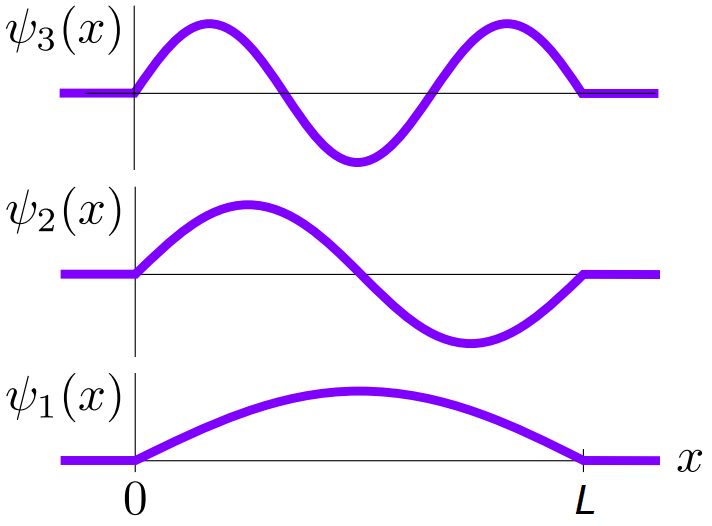Github Uclnatsci Uclnatsci Github Io - Best Ocean Photos in 8K