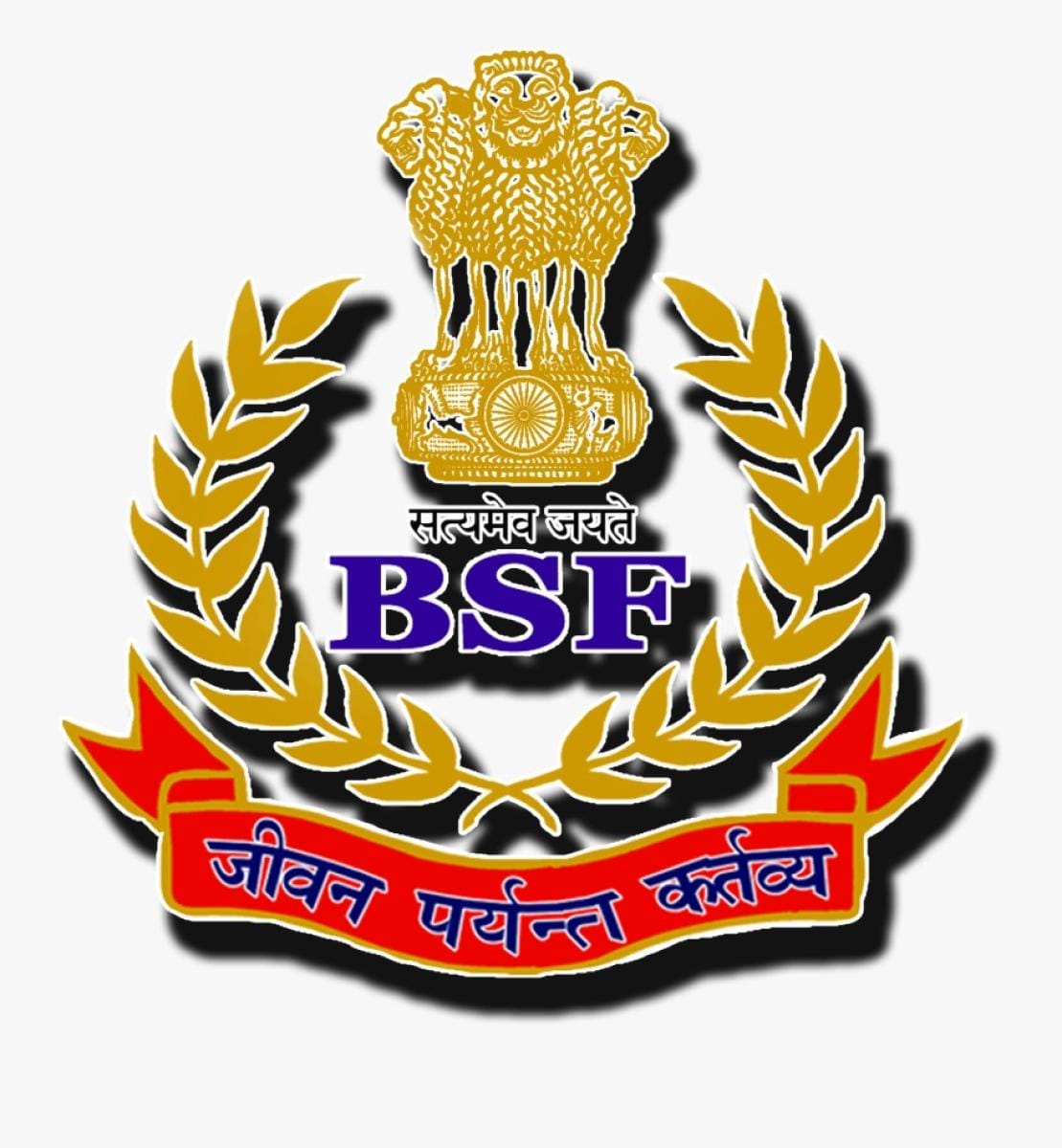 Border Security Force seizes over 392 cattle