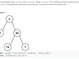 Binary Tree Problems Ultrafish