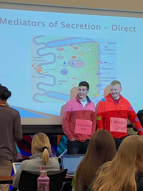 Active Learning Through Demonstration: One Faculty Member’s Approach