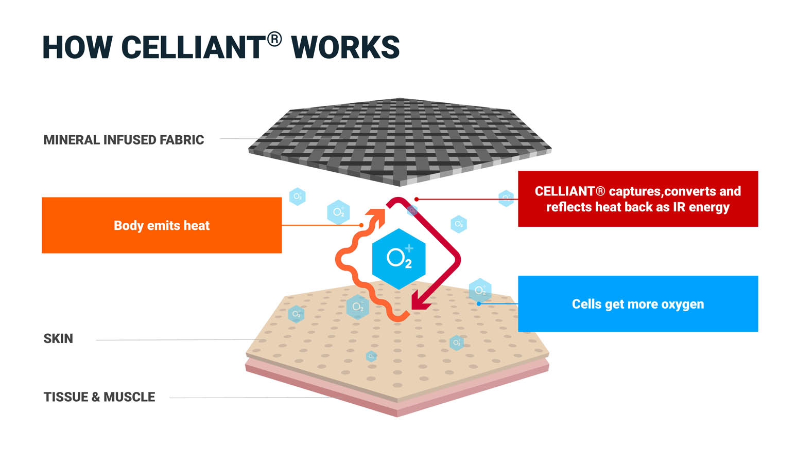 CELLIANT IS CLEARED TO MARKET IN 50+ COUNTRIES - Underlines Magazine