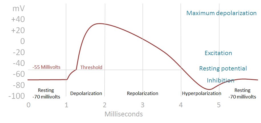 A Normal Spike - Understanding Context