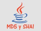 Encriptar En Md5 Y Sha1 Con Java Cursos De Programación De 0 A