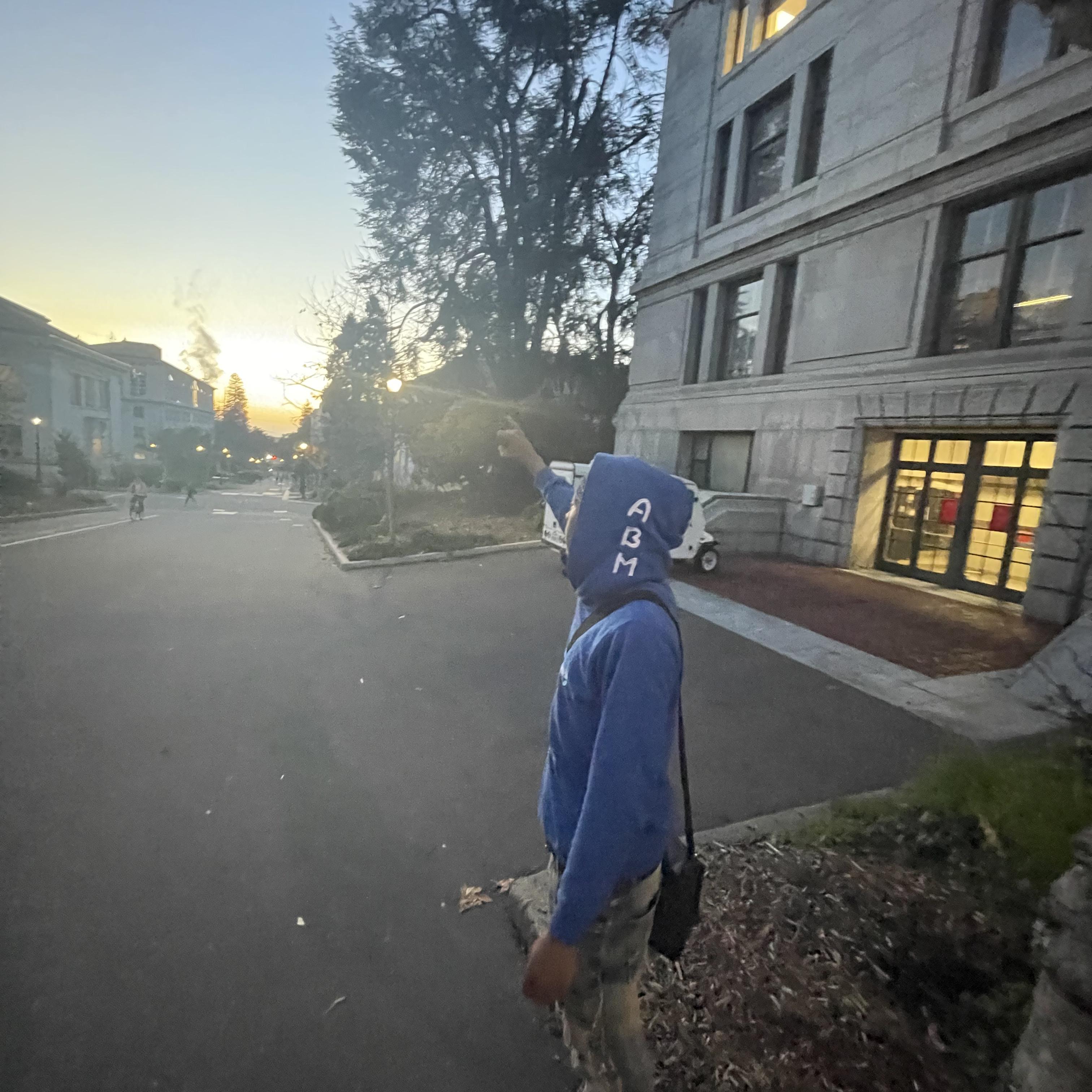 Snake Flow Projectpoody