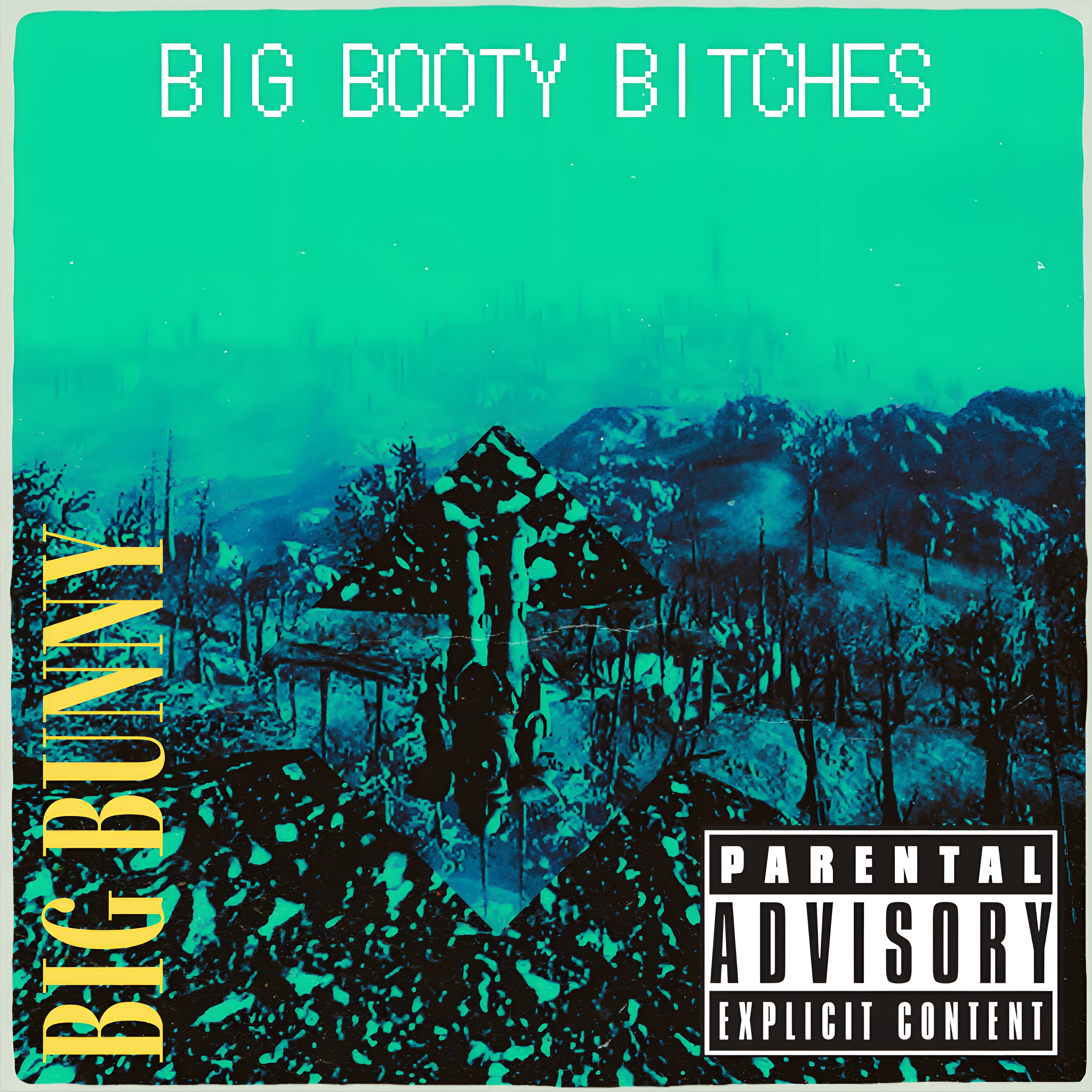 Big Booty Bitches N R H