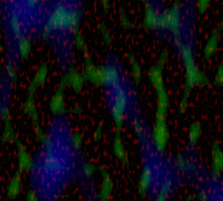 Scrolling Texture Plotter using CustomRenderTexture « Unity Coding ...