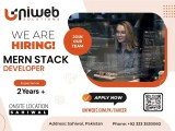 Mern Stack Developer On Site Uni Web Solutions