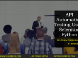 Api Automation Testing Using Selenium Python