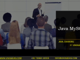 Java Mysql