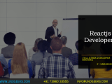 Reactjs Developers