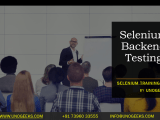 Selenium Backend Testing