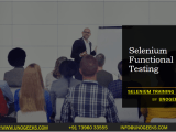 Selenium Functional Testing