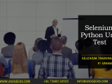 Selenium Python Unit Test