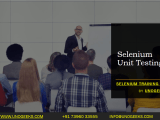 Selenium Unit Testing