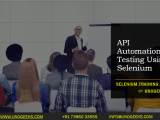 Api Automation Testing Using Selenium