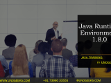 Java Runtime Environment 1 8 0