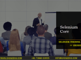 Selenium Core