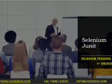 Selenium Junit