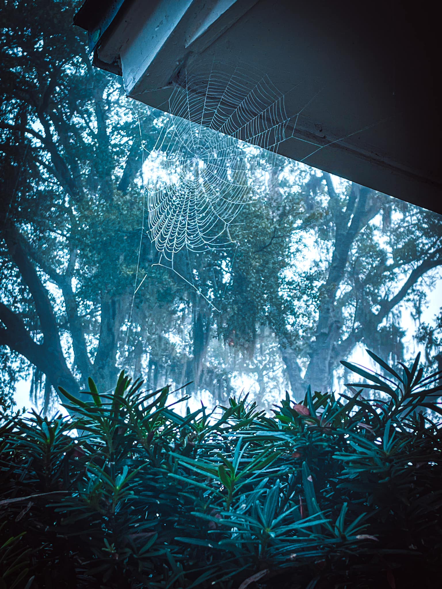 Hello, 2023 – Unquiet Things