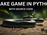 Snake Game In Python With Free Source Code